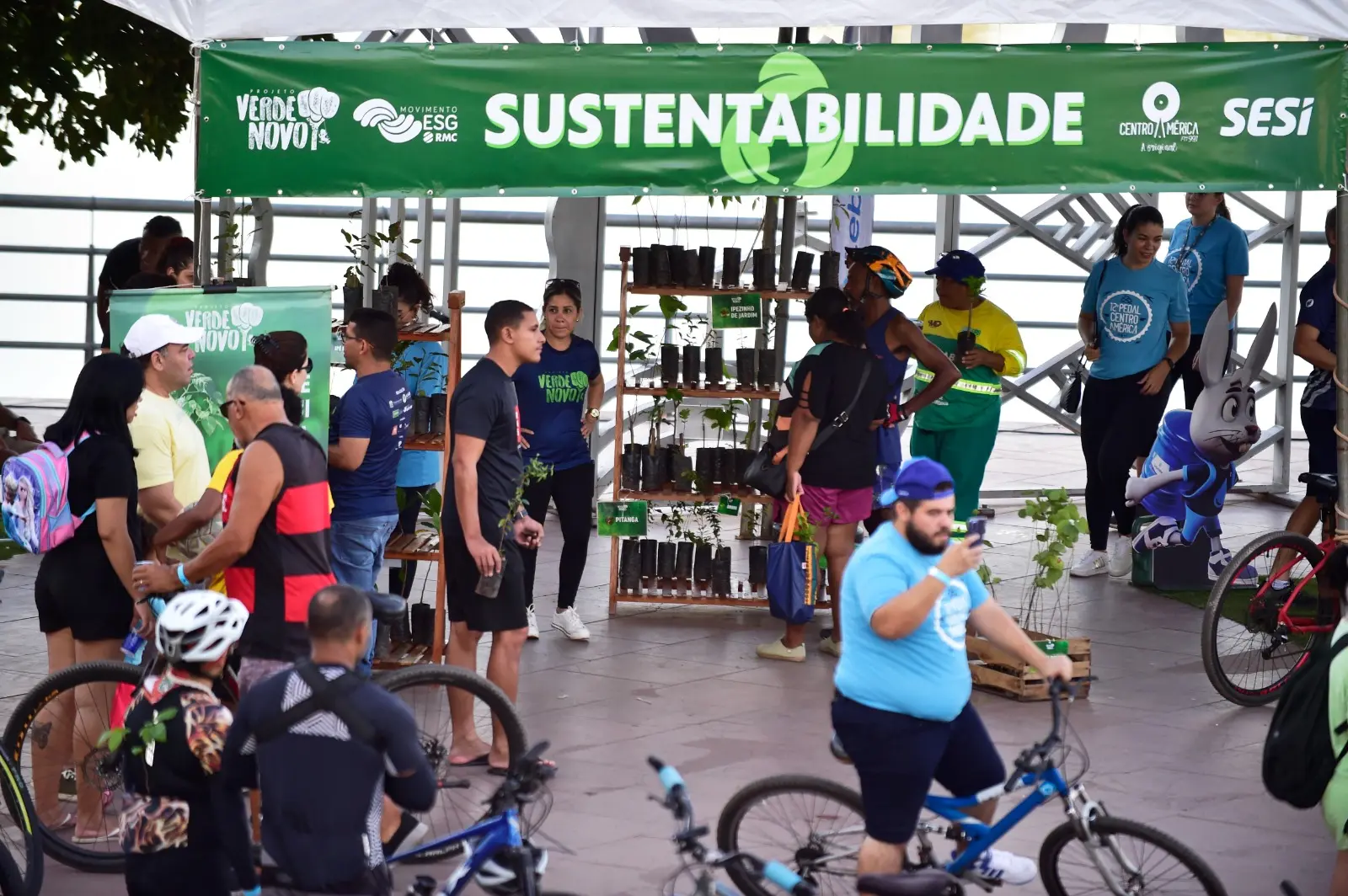 Programa Verde Novo leva sustentabilidade com distribuição de mudas no ...